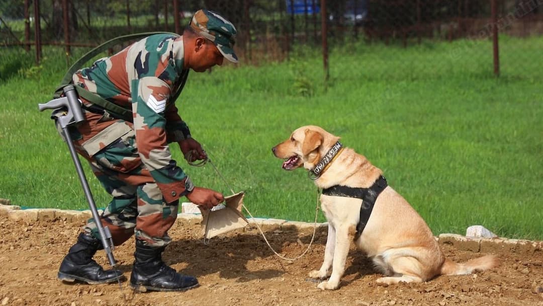 Indian Army announces RVC recruitment 2025 for veterinary graduates
