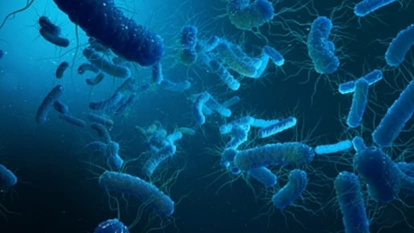 Kerala issues health alert after fresh Shigella cases, steps up ...